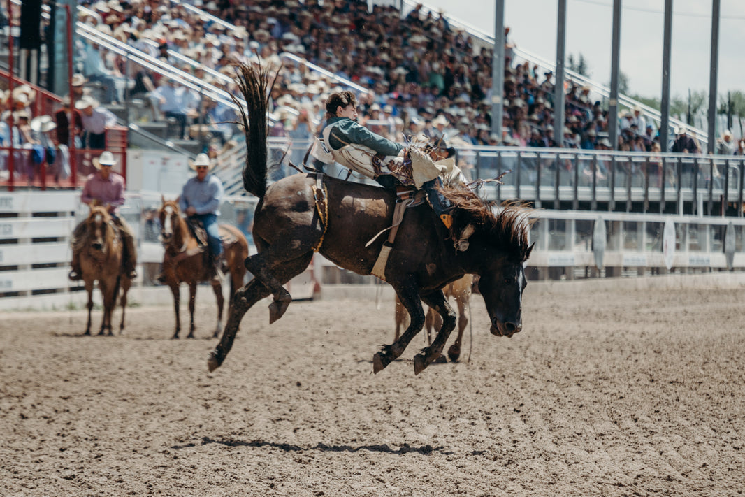 Rodeo Mart | America's Original Rodeo Store