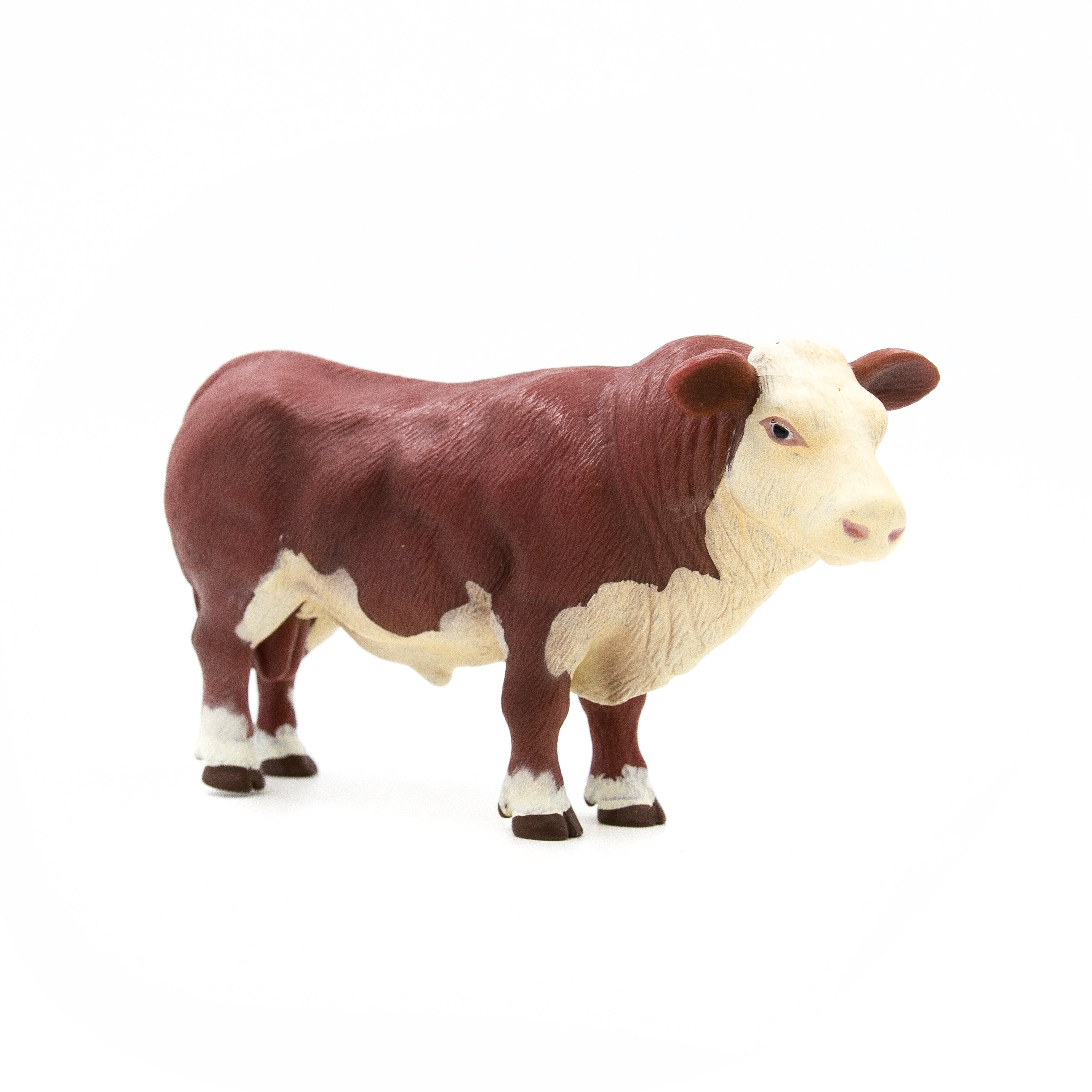 Hereford Bull – Rodeo Mart