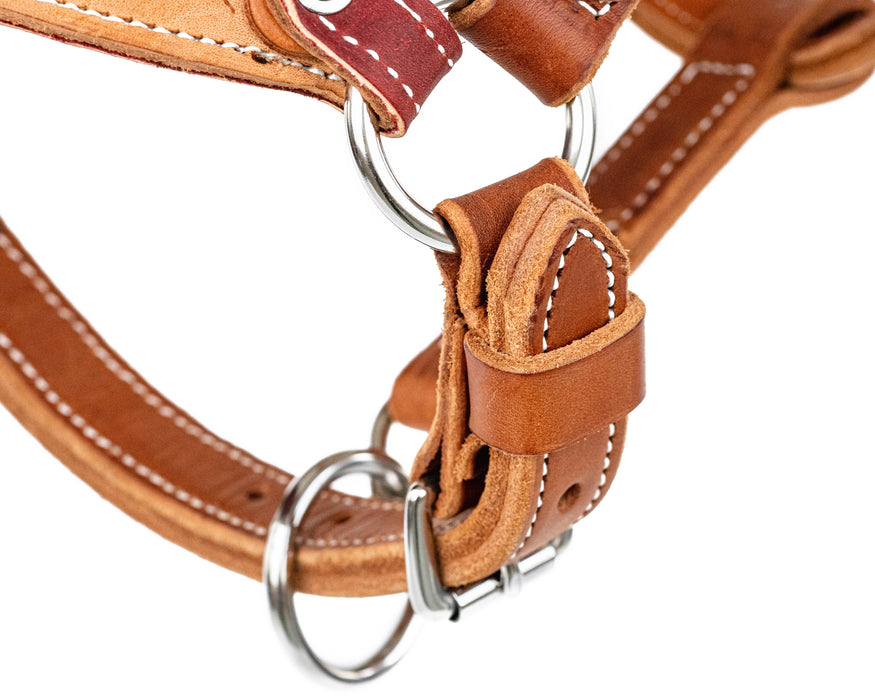 Beastmaster Mini Leather Saddle Bronc Halter — Rodeo Mart