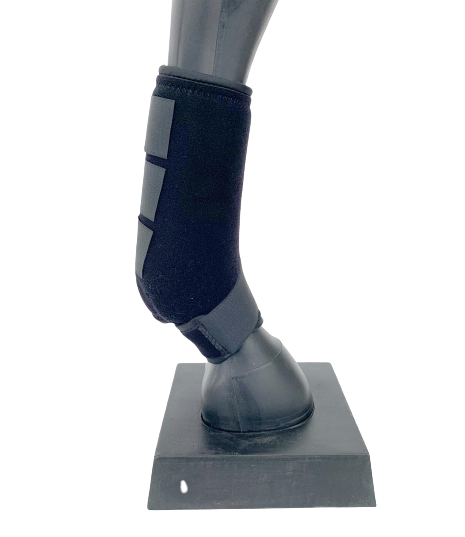 Veltex Horse Boots - Hind – Rodeo Mart